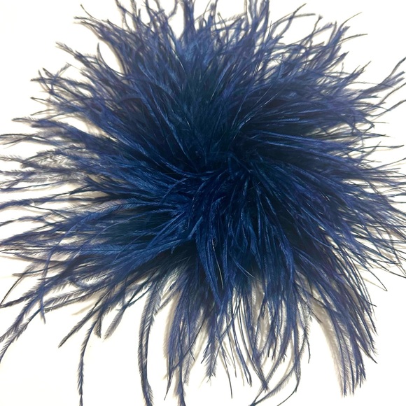 Accessories | Feather Shoe Clips Ostrich Feather Shoe Clips All Color ...